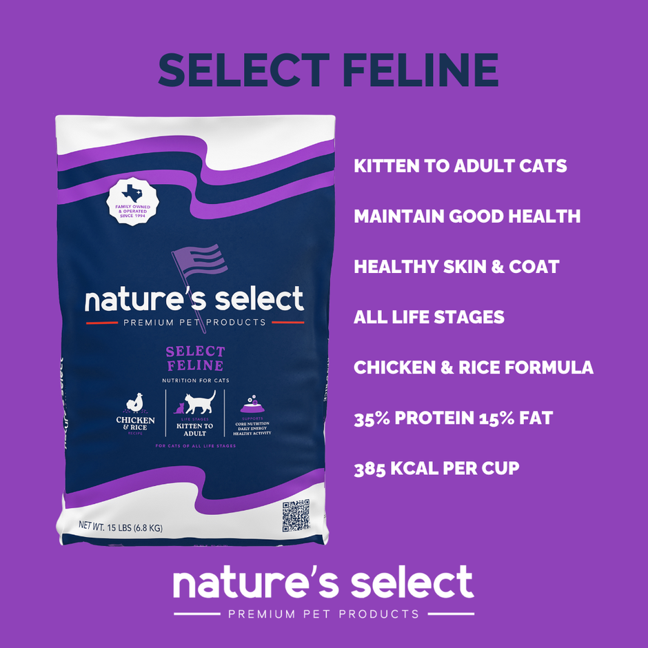 Best Dry Cat Food in Colorado | Dry Cat Food Free Delivery – Natures ...